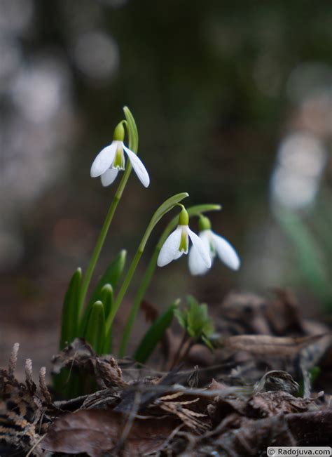 МП РСФСР ГЛАВУЧТЕХПРОМ ЗАВОД №6 ★ F=7.7см ★ – обзор легендарного ...