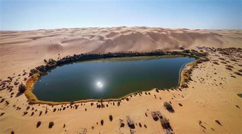 Services Gps Mapping