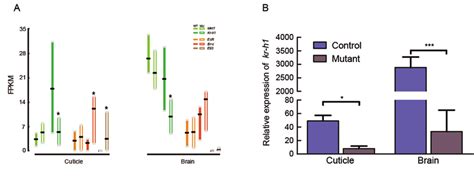 Gene Expression Gradient Of Representative Genes Of Juvenile Hormone