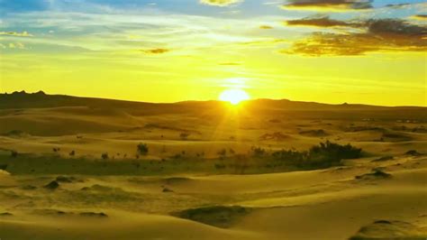 Олон жил дуулагдсаар байгаа сайхан Нийтийн шинэ дуунууд