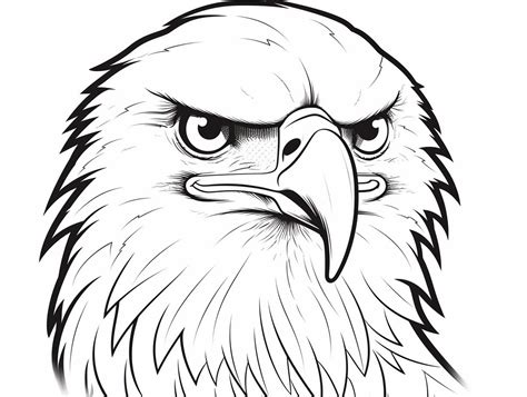How To Color A Bald Eagle