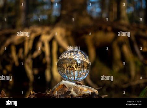Inverted Image Hi Res Stock Photography And Images Alamy