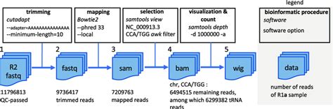 Computational Workflow Of Deep Sequencing Illumina Data Processing See