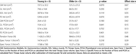 Triceps Surae Muscle Volumes Force And Specific Force In Young And Download Table