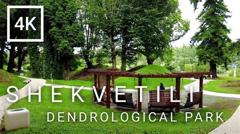 Shekvetili Dendrological Park Tour შეკვეთილი დენდროლოგიური პარკი [4k] Youtube