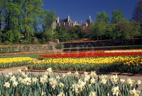 Biltmore Gardens Biltmore Estate Asheville North Carolina Biltmore