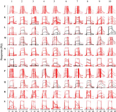 Data Sets Obtained Using Biacore 3000 J S Instruments Columns 1 Download Scientific Diagram