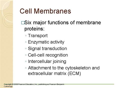Leq How Does The Structure Of The Plasma