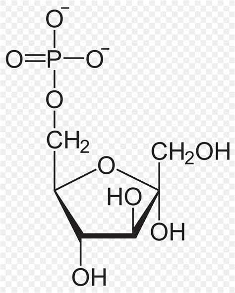 Fructose 6 Phosphate Glucose 6 Phosphate Fructose 1 6 Bisphosphate Png 2000x2491px Fructose