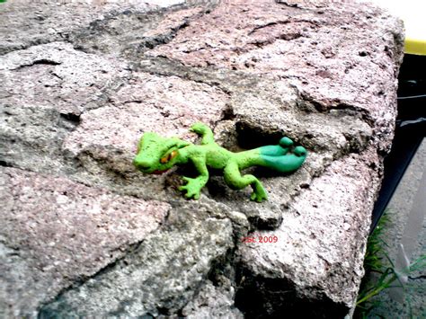 Treecko By HamsterSKULL On DeviantART