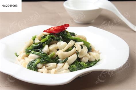 油麦菜拌白玉菇高清图片下载 红动中国