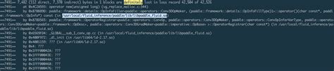 paddle inderence 有内存泄漏问题 Issue PaddlePaddle Paddle GitHub