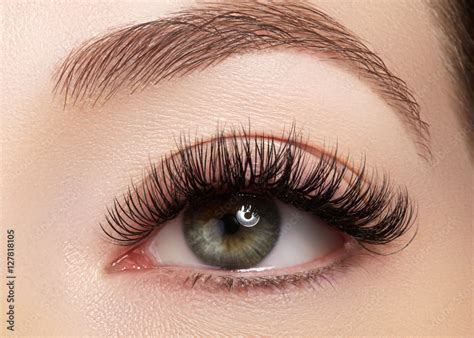 Beautiful Macro Shot Of Female Eye With Extreme Long Eyelashes And