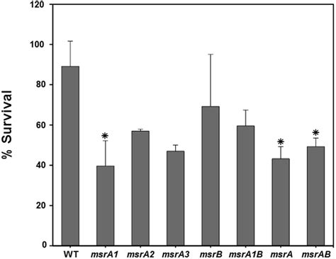 Survival Of The Wild Type S Aureus Strain Sh1000 And Its Derivative