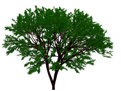 Tree Sprite 3 Free Photos On Tree Sprite 3 Free Photos On