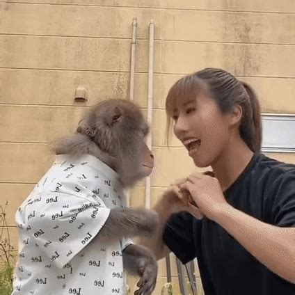 N06ara Monkey Funny  N06ara Monkey Funny Monkey Fight Discover