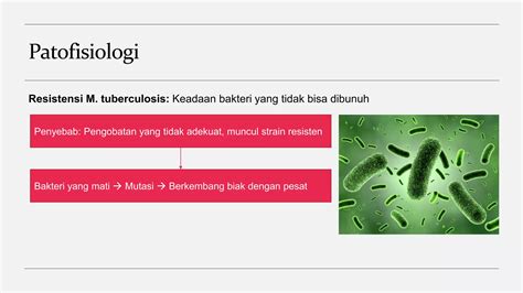 Patofisiologi And Komplikasi Tb Resisten Obatpptx