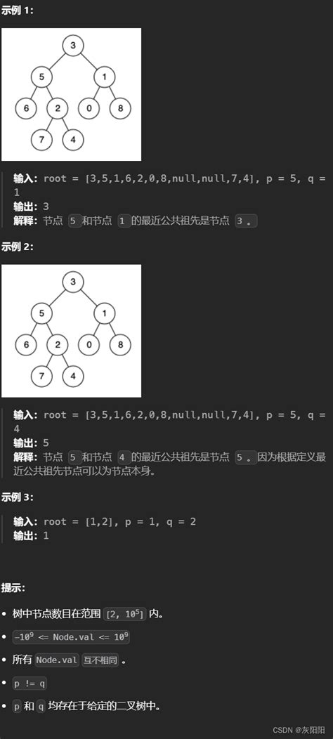 最近公共祖先董晓算法博客园 Csdn博客
