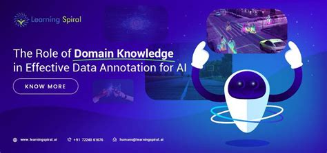 The Role Of Domain Knowledge In Effective Data Annotation For Ai
