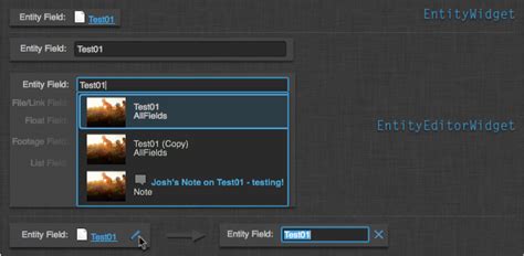 Flow Production Tracking Field Widgets — Tk Framework Qtwidgets V2 11 0