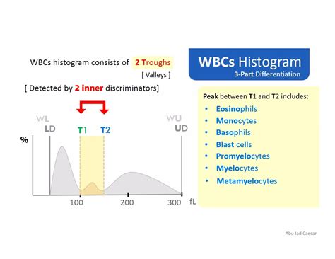 Wbc Histogram Pdf
