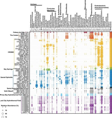 Microbial Ecology Of Serpentinite Hosted Ecosystems Pmc
