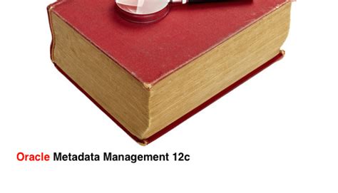 Oracle Metadata Management Business Glossary