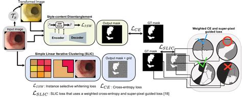 Domain Generalization For Endoscopic Image Segmentation By