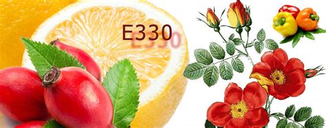 Пищевая добавка Е330: польза и вред лимонной кислоты E330 | ООО «Эверест»