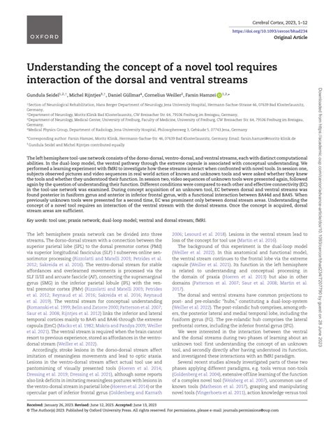 Pdf Understanding The Concept Of A Novel Tool Requires Interaction Of The Dorsal And Ventral