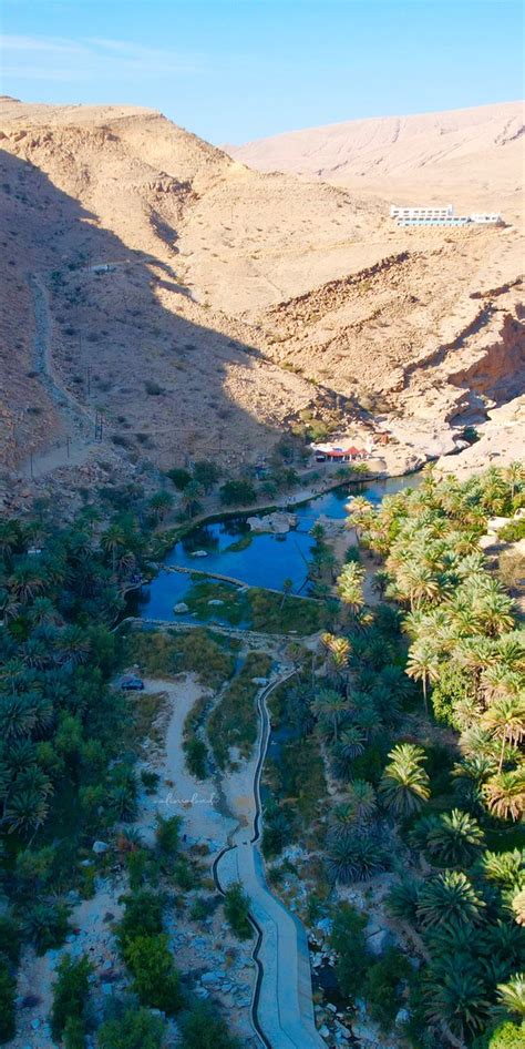 سليمان؛المسكري Oman🇴🇲 On Twitter Rt Salimalsadi خميسكمفله مقل