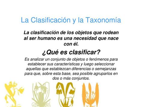 PPT La Clasificación y la Taxonomía PowerPoint Presentation ID 231382