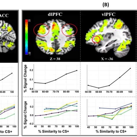 Activation Plots For A Cingulo Opercular And B Frontoparietal Download Scientific Diagram