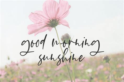 Flirty Script Font With Cute Extras Beck McCormick Font Designer