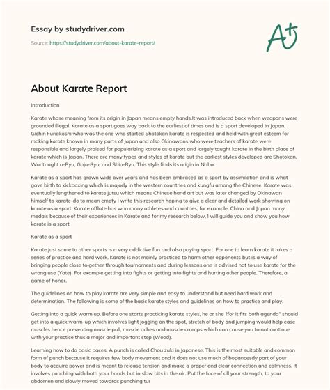 About Karate Report Free Essay Example