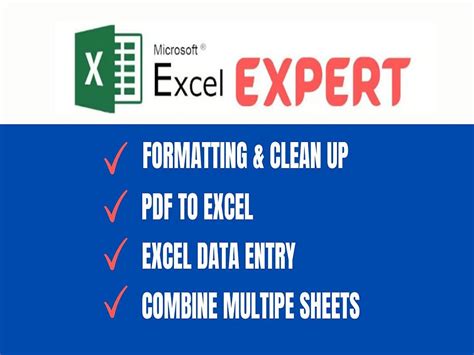 Excel Data Entry Formatting Cleaning Pdf To Excel And More Upwork