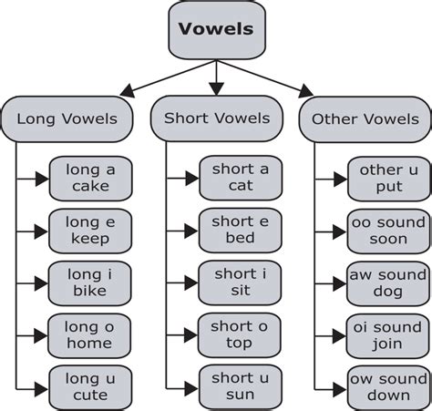 Vowel Sound Là Gì Định Nghĩa Ví Dụ Và Cách Sử Dụng Trong Tiếng Anh