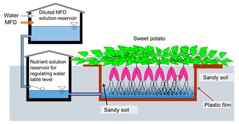 Methane Free Full Text Application Of Digestate From A Methane