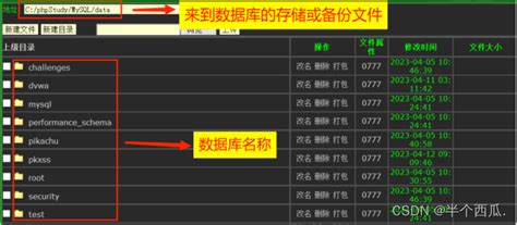 权限提升：mysql 数据库 （udf 启动项 反弹）