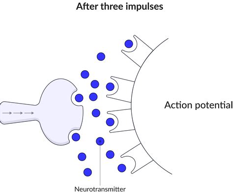 Summation Aqa A Level Biology