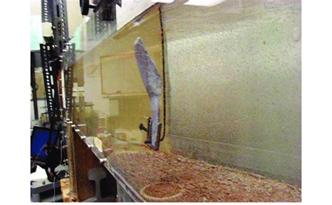 Video Of Periodic Vibrations In Silicon Model Of Charniodiscus Download Scientific Diagram