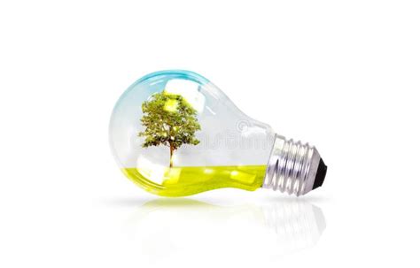 Light Bulb With Tree Inside Stock Image Image Of Inside Climate