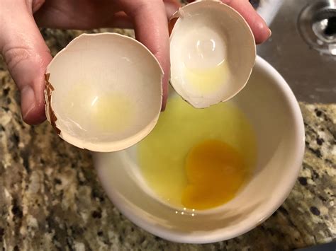 Riboflavin Or Pseudomonas Egg About Half Of The Dozen Were Like This And Weve Throw Them All