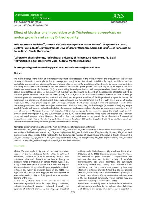 Pdf Effect Of Biochar And Inoculation With Trichoderma Aureoviride On Melon Growth And Sandy