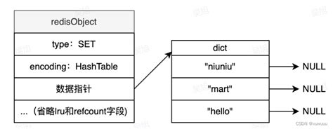 Redisset操作详解INTSET与HASHTABLE编码策略 CSDN博客