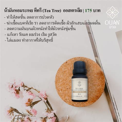 น้ำมันหอมระเหยจากต้นทีทรี Ouan อวล เครื่องหอม