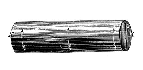 골동품 삽화 물리학 원리와 실험 전기와 자기 암페어 자기 이론 기계 부분에 대한 스톡 벡터 아트 및 기타 이미지 기계 부분 다이어그램 빅토리아 스타일 Istock