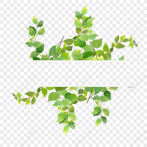 수채화 일러스트 Esuria 잎 녹색 웨딩 테두리입니다구배초록 Png 일러스트 무료 다운로드 Lovepik
