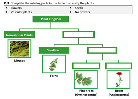 7 Grade Science Classification Unit Information Classifying Living Things Worksheet Teacher