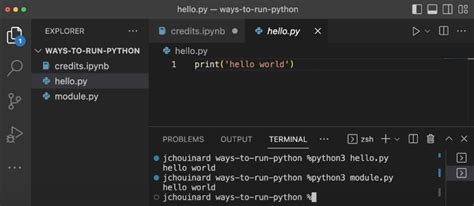 3 Ways How To Run Python Code Terminal Shell Ides And Notebooks